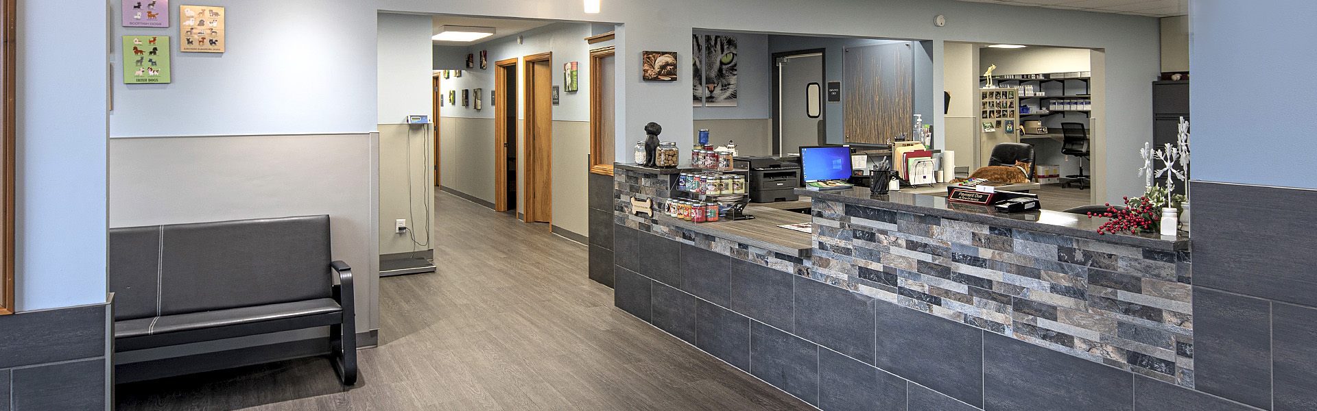 Animal Medical Hospital - Lehner Designs